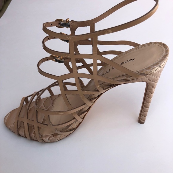 Alexandre Birman | Shoes | Alexandre Birman Patent Leather Python Sandal | Poshmark